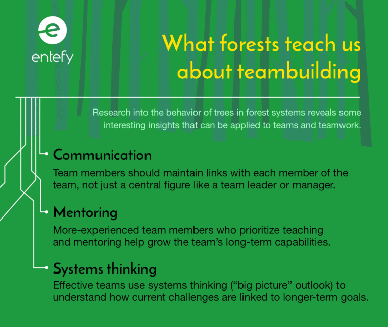 The Root Wide Web. What trees teach us about teambuilding. - Entefy ...
